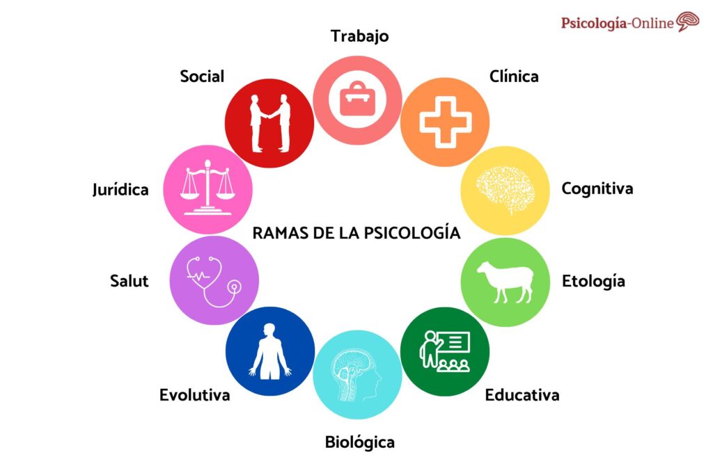 11 datos psicológicos interesantes sobre el comportamiento humano ️ ...