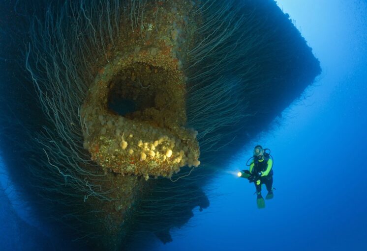 Miedo a la profundidad del mar ️ Mentalidad Humana